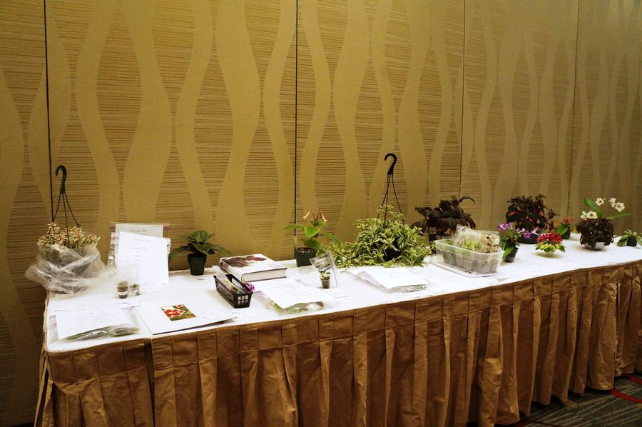 » 2014 Convention People and Activities