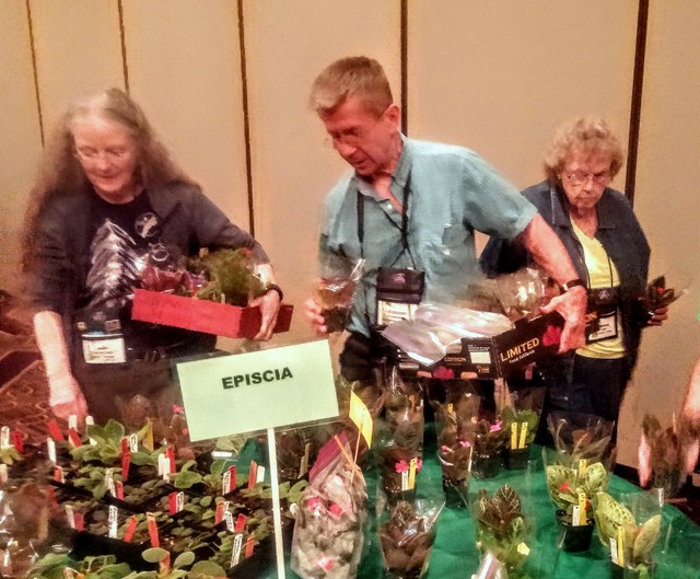 » 2016 Convention People and Activities